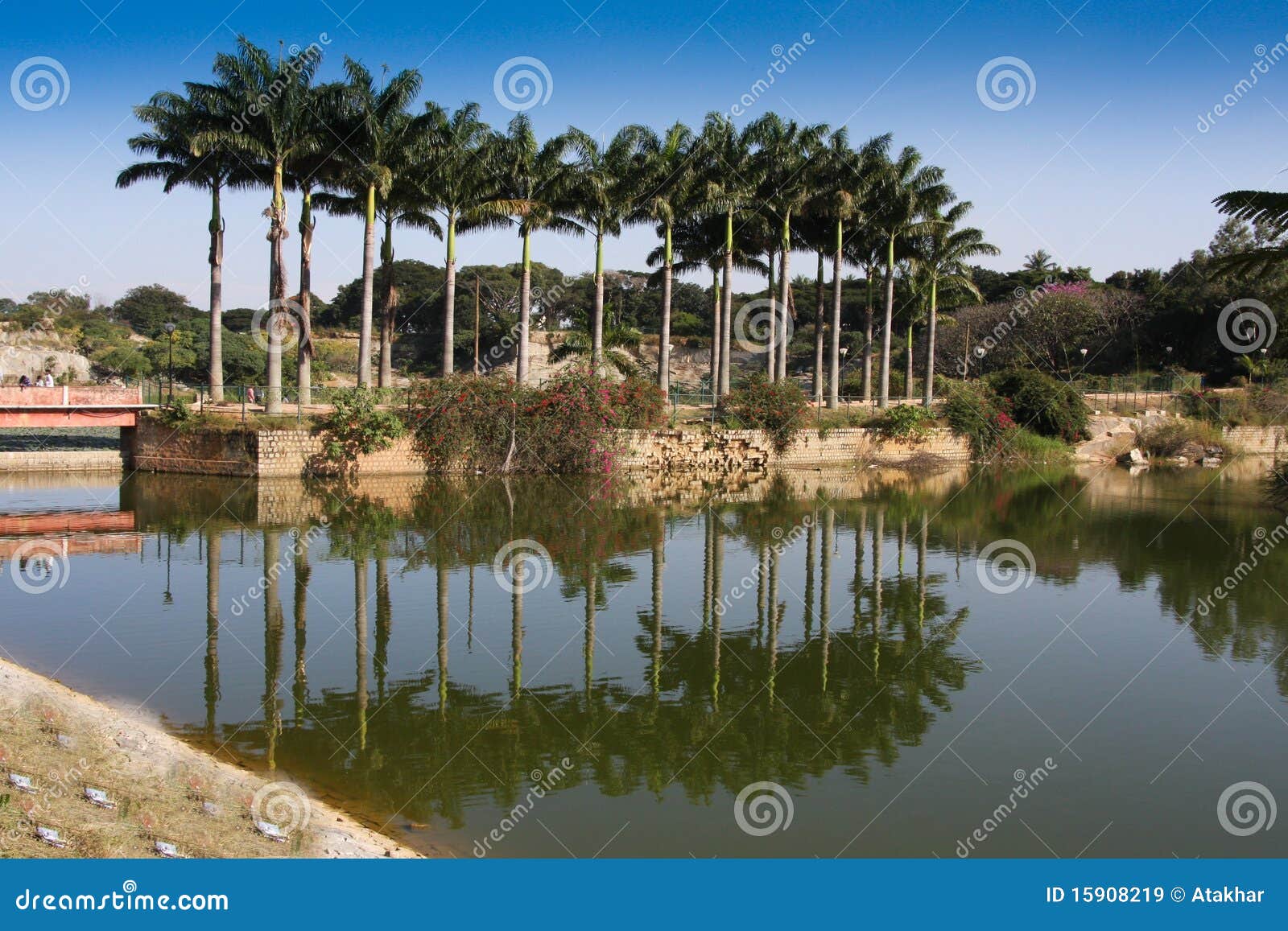 Lal Bagh gardens Bangalore stock image. Image of tranquil - 15908219