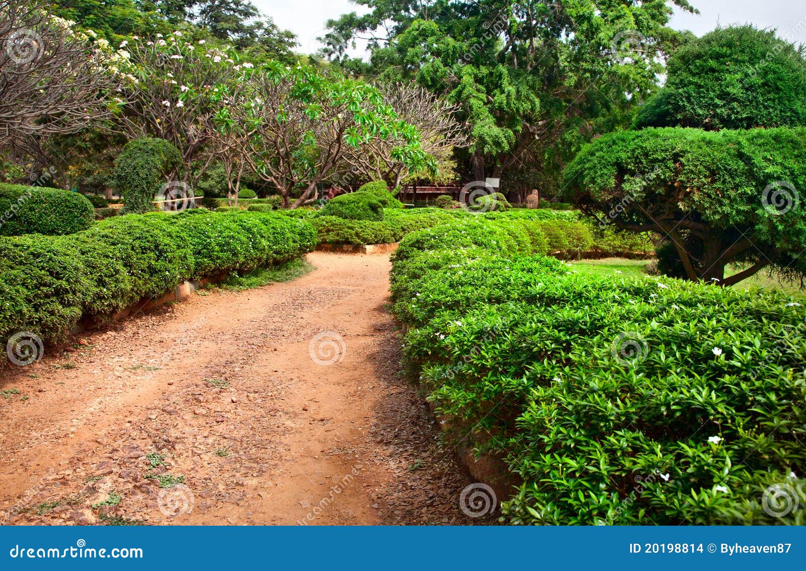 Lalbagh Botanical Garden in Bangalore Stock Photo - Image of park ...