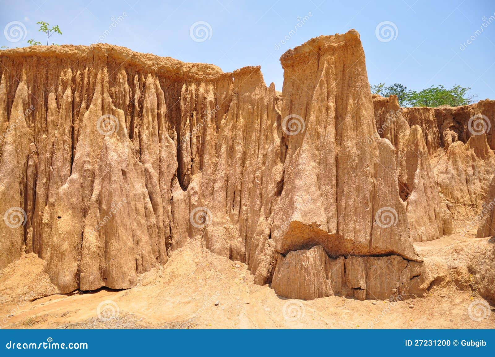 Lalu Picture. Image: 27231200