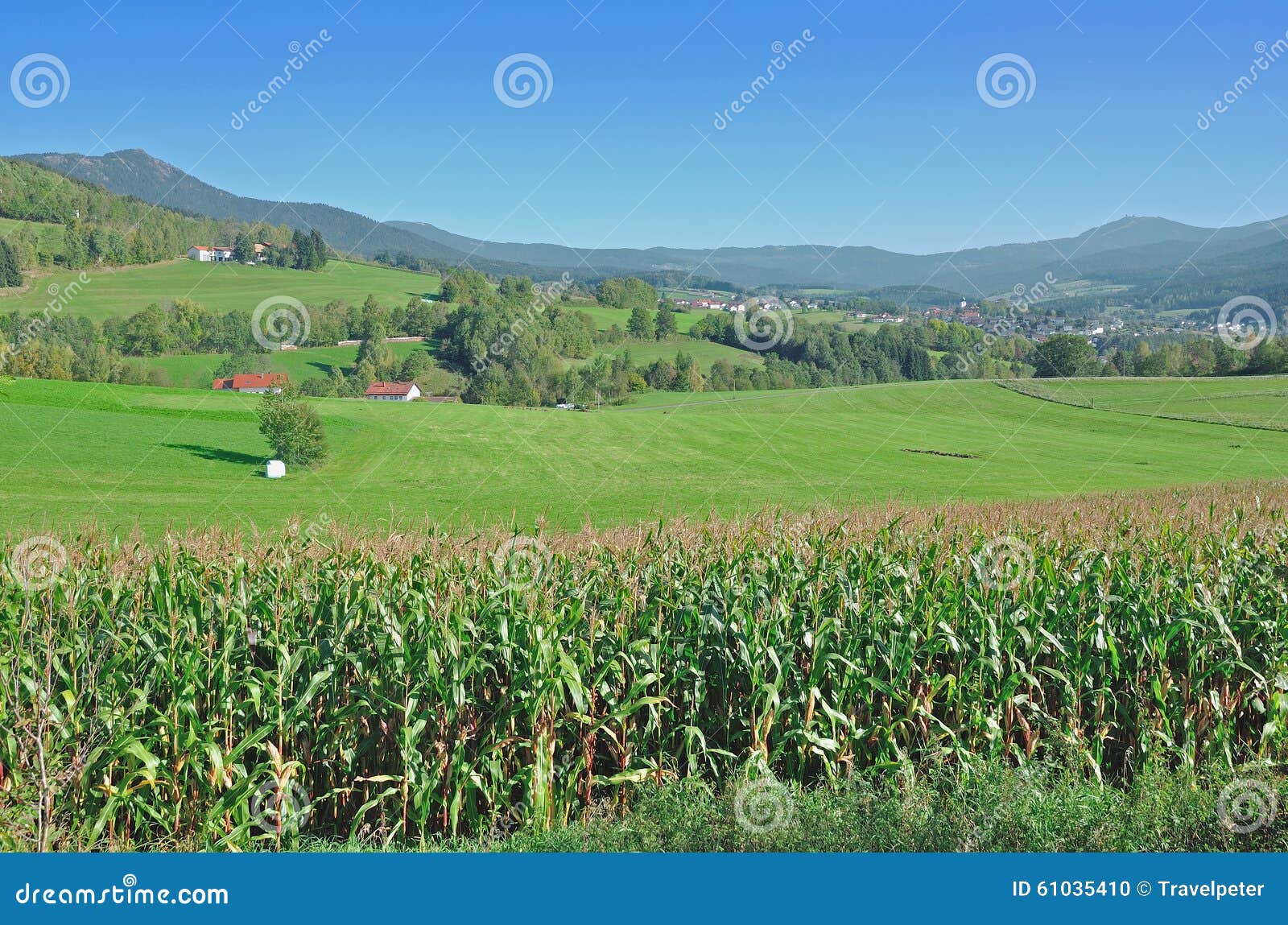 Lam ,bavarian Forest,Bavaria,Germany Stock Photo - Image of europe ...