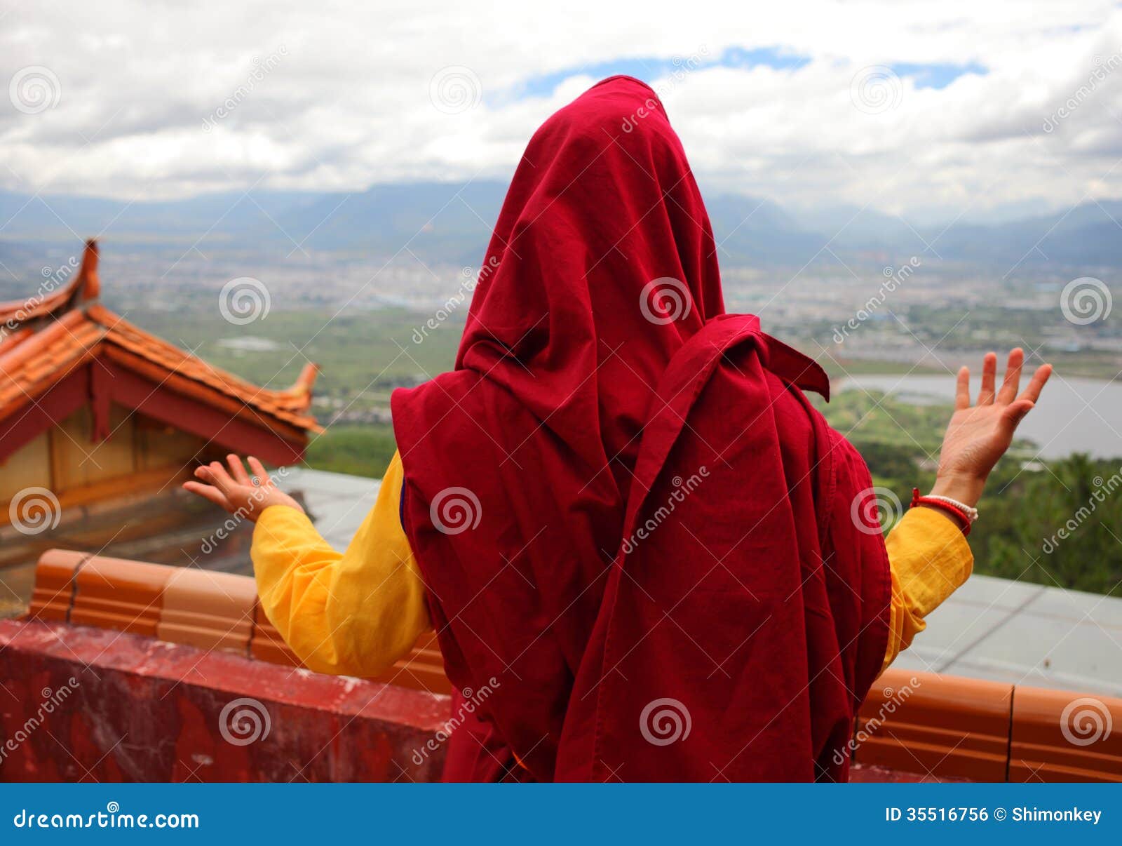 Lama back stock photo. Image of china, statue, serenity - 35516756