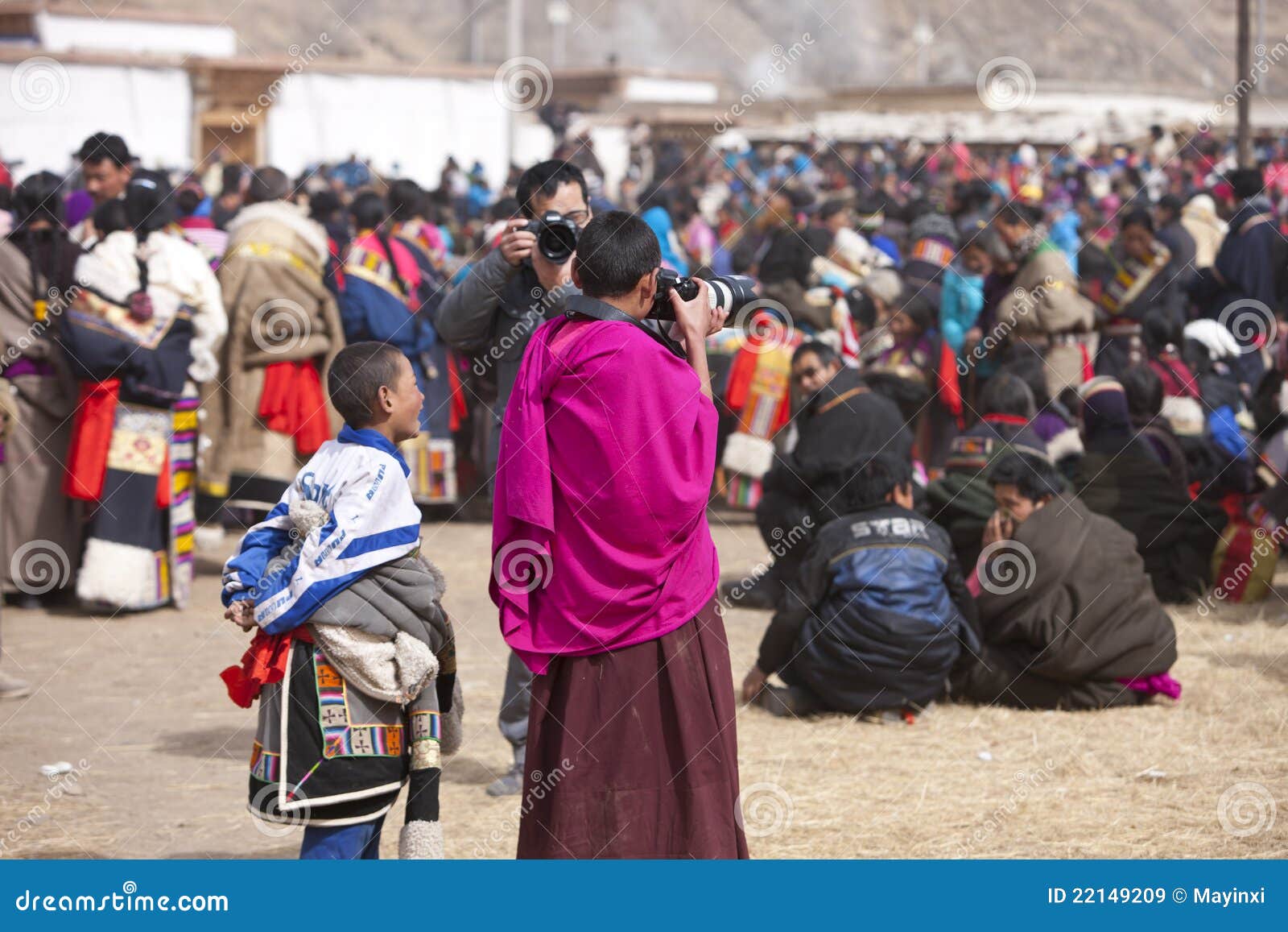 Lama is being photographed editorial stock image. Image of beliefs ...