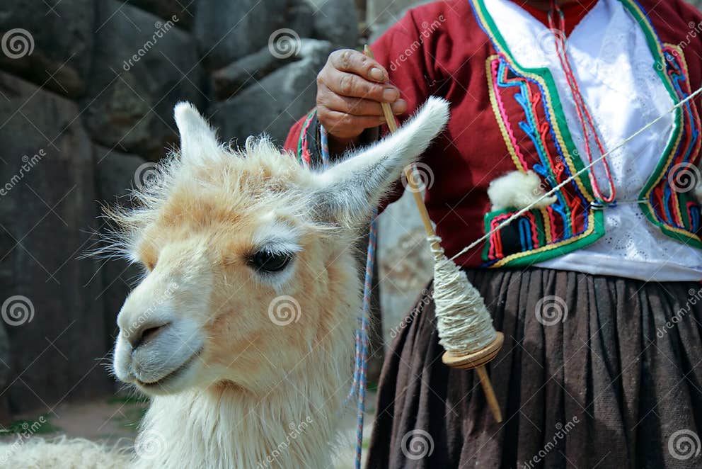 Lama péruvien photo stock. Image du femme, pérou, péruvien - 1663322