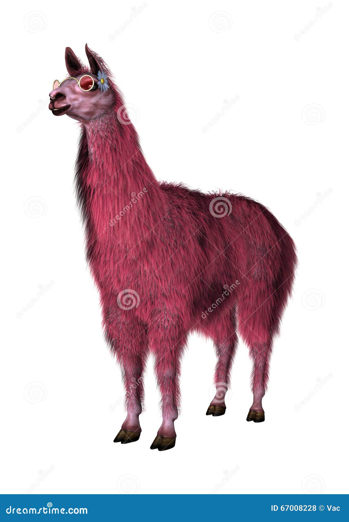 Lama rose sur le blanc illustration stock. Illustration du animal ...