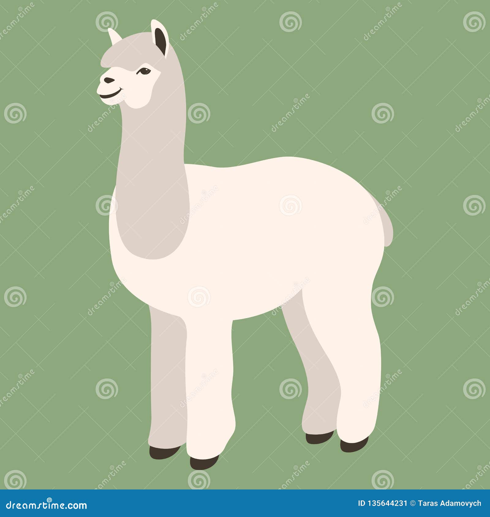 Lama Vector Illustration ,flat Style, Profile Stock Vector ...