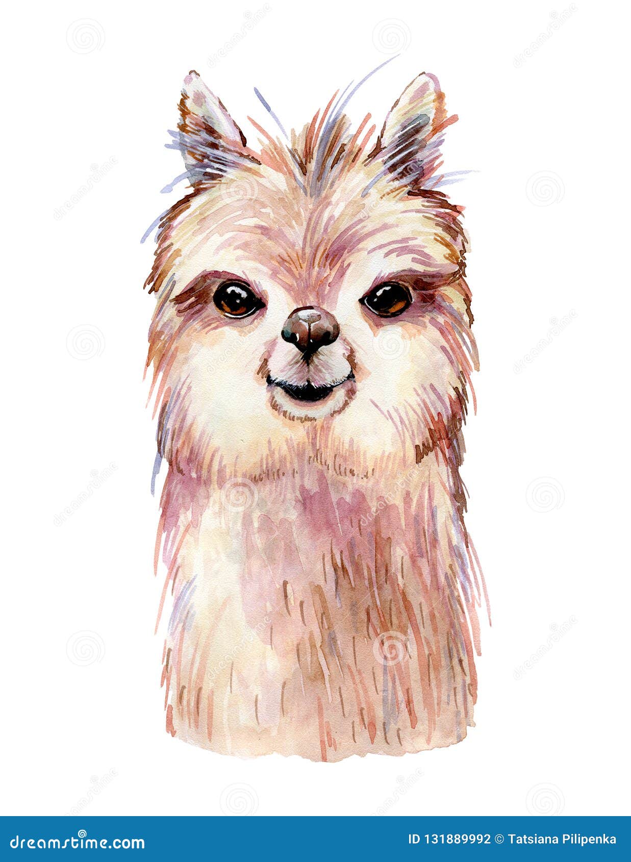 Lama Watercolor Illustration Stock Illustration - Illustration of ...
