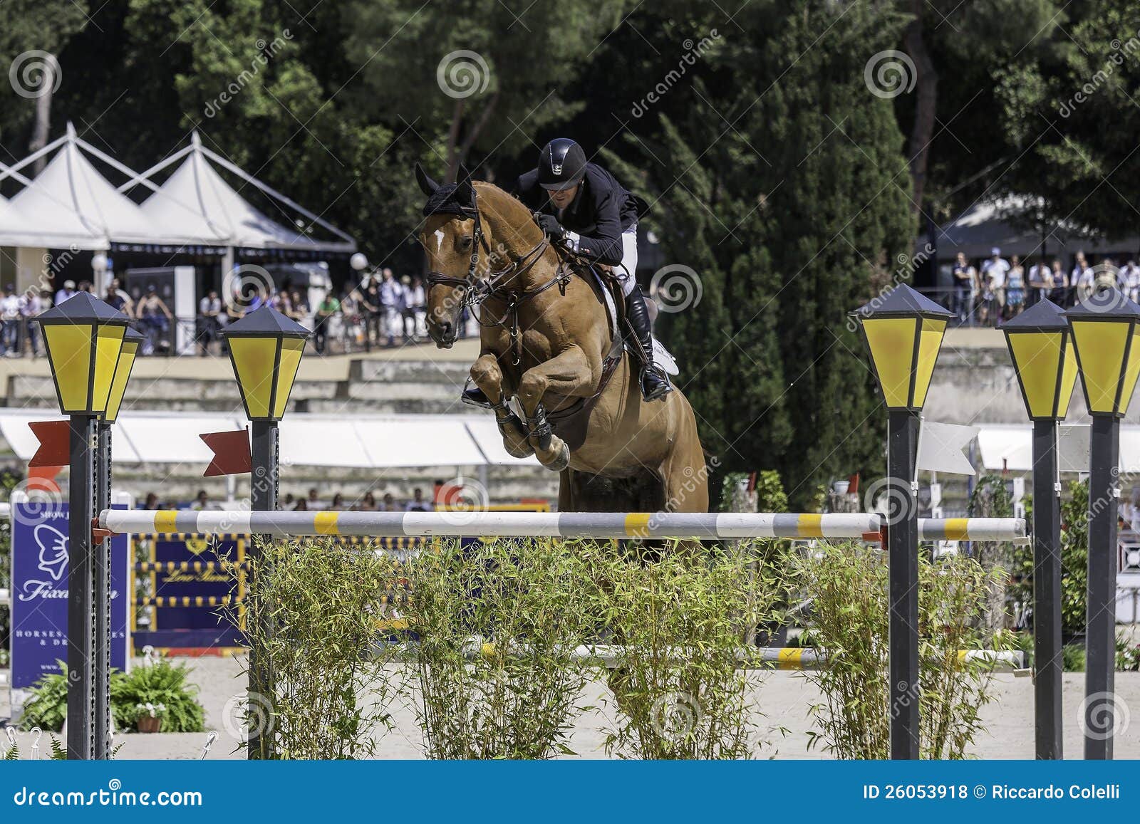 LAMAZE Eric editorial stock photo. Image of equestrian - 26053918