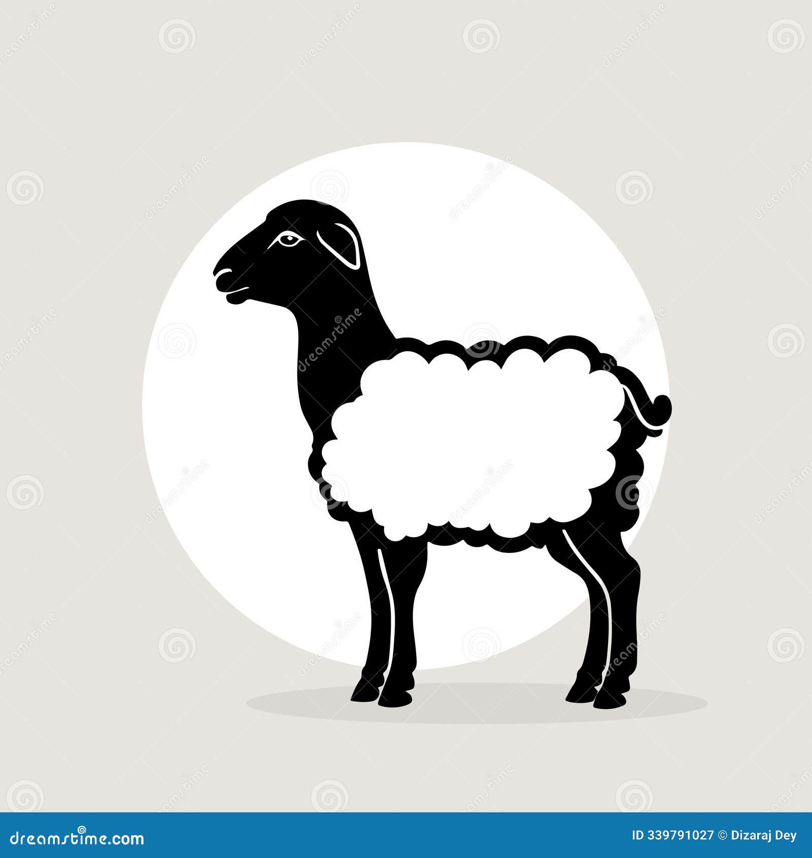 Modern Sheep Shearing Technology In Operation At Expansive Sheep ...