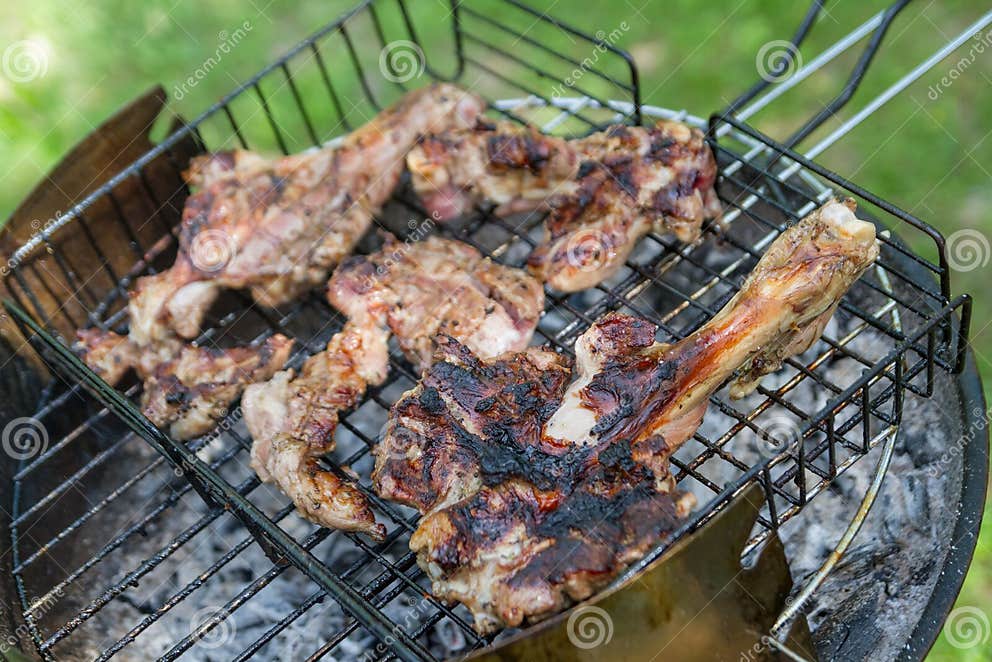 Lamb barbeque stock photo. Image of activity, lamb, condiment - 67022168