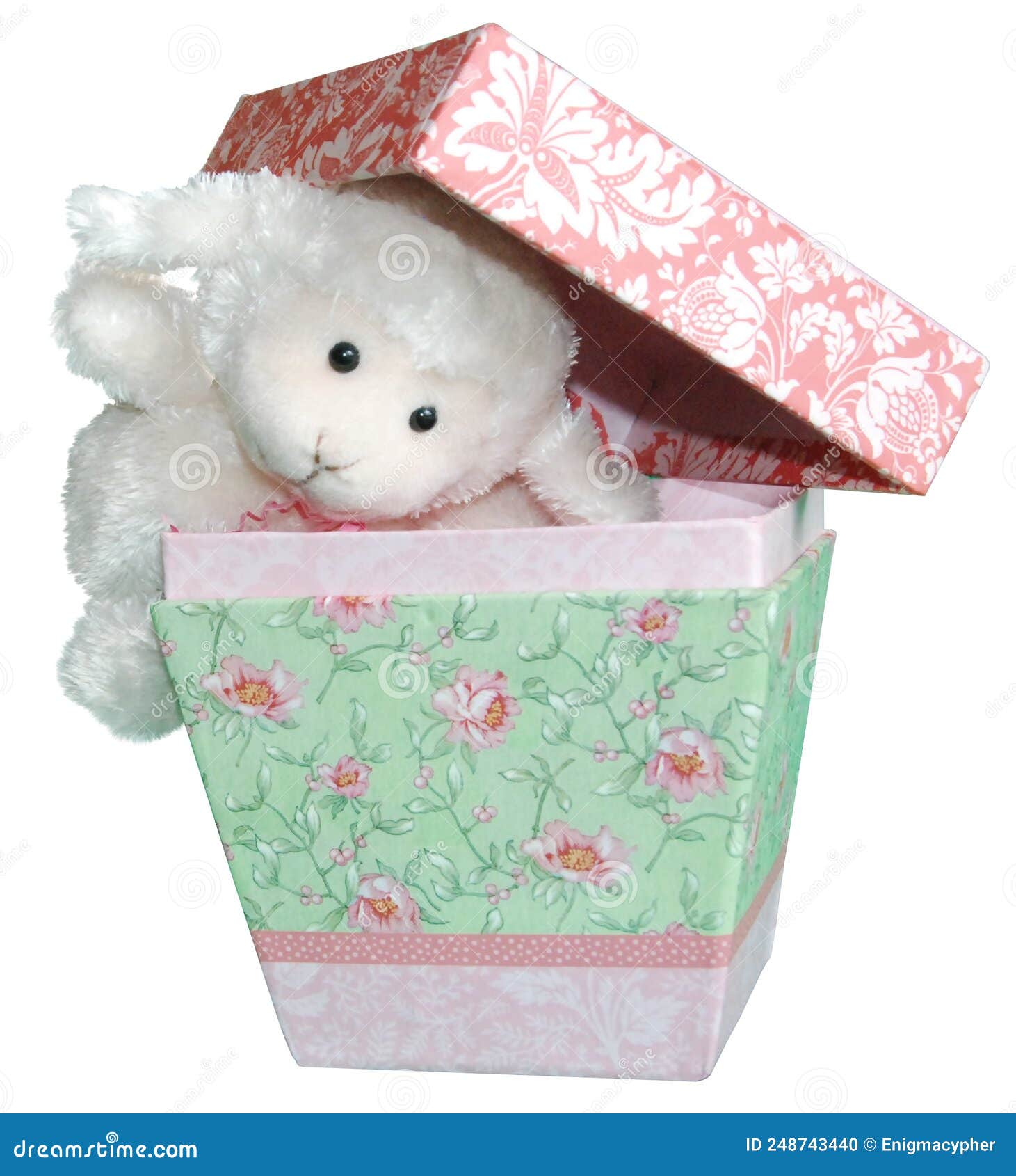 Lamb Climbing into the Box - Prepositional Phrases Stock Photo - Image ...