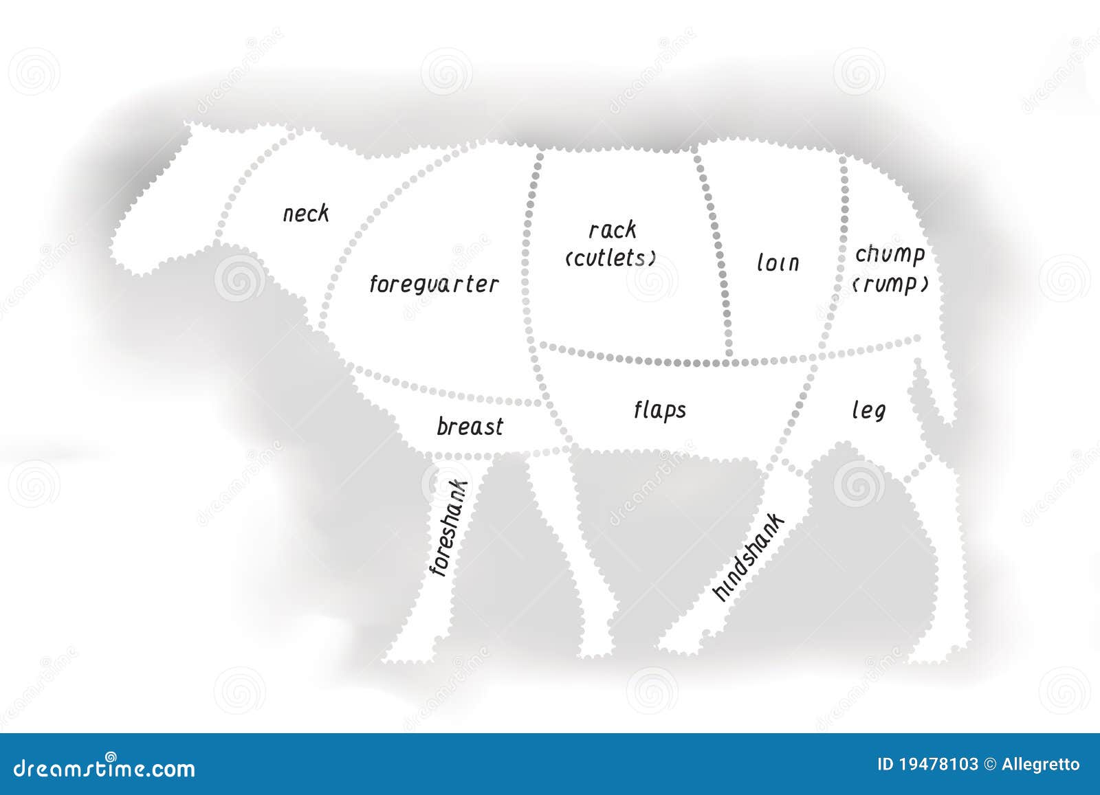 Lamb Meat Diagram stock illustration. Illustration of meat - 19478103