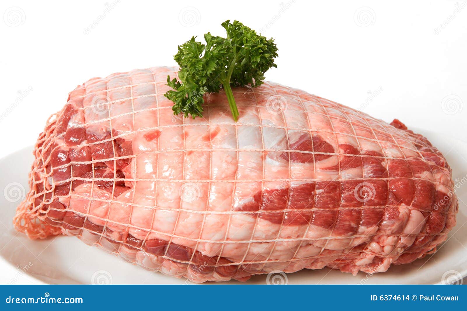 Lamb in net side view stock photo. Image of protein, food - 6374614