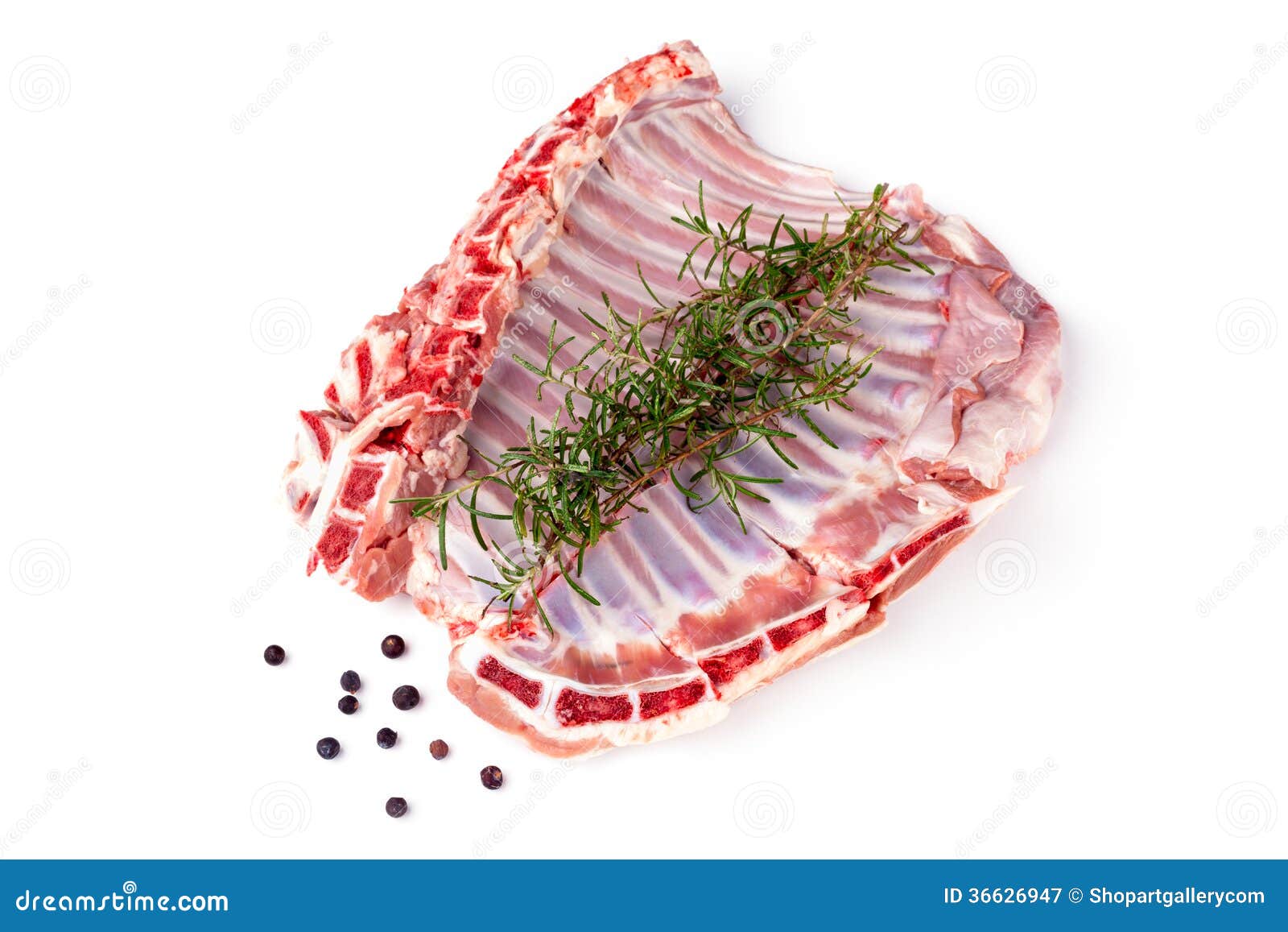 Lamb Ribs Raw stock image. Image of isolated, bones, culinary - 36626947