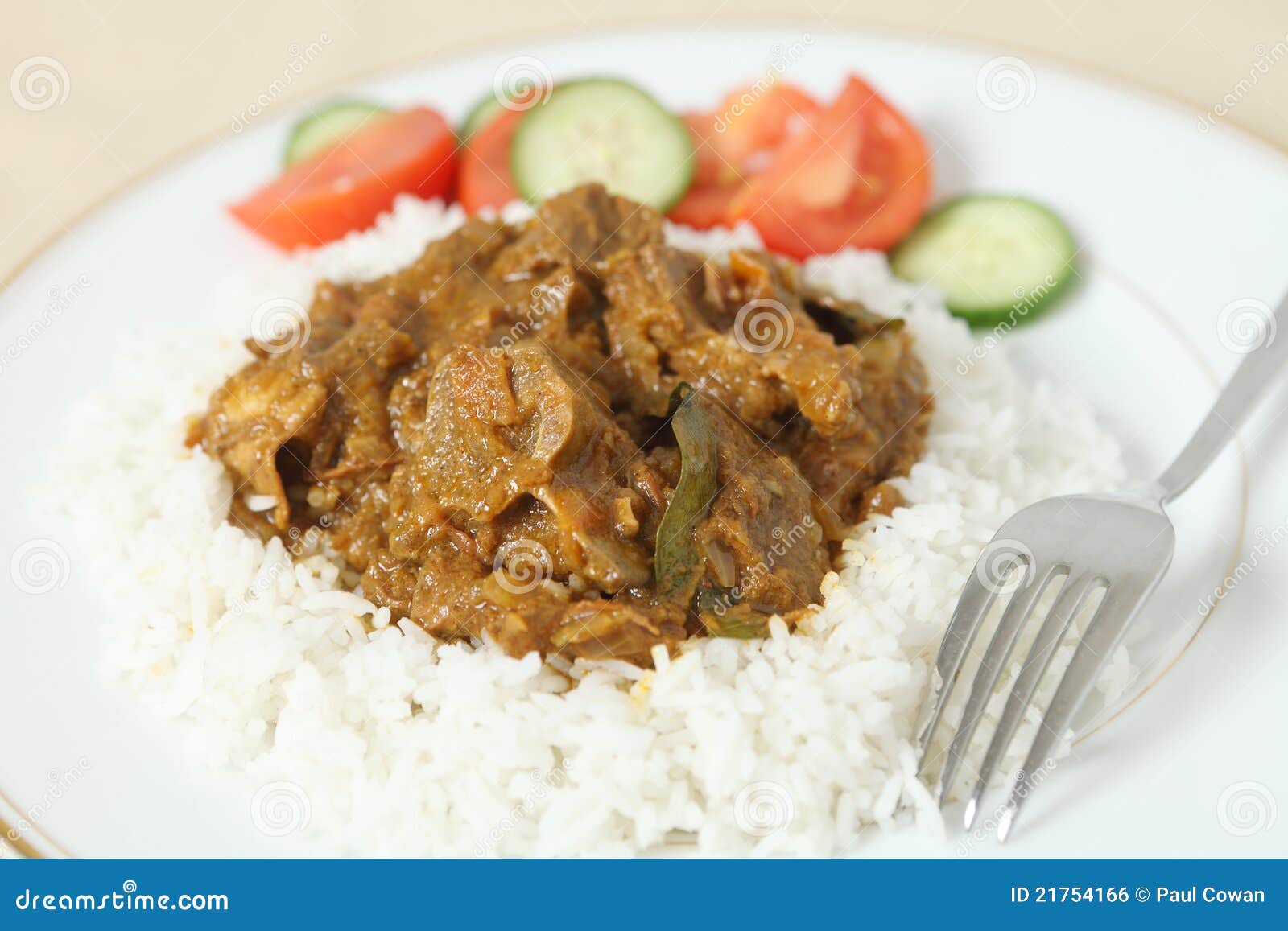 Lamb rogan josh horizontal stock photo. Image of plate - 21754166
