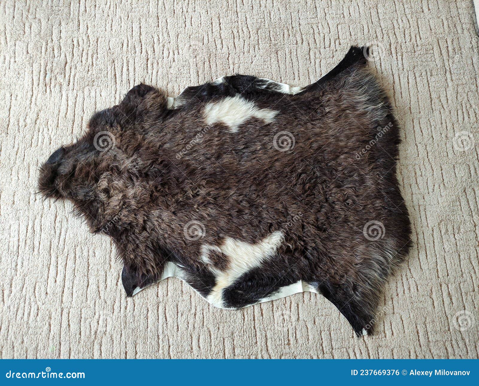 Lamb skin on a floor stock photo. Image of natural, brown - 237669376
