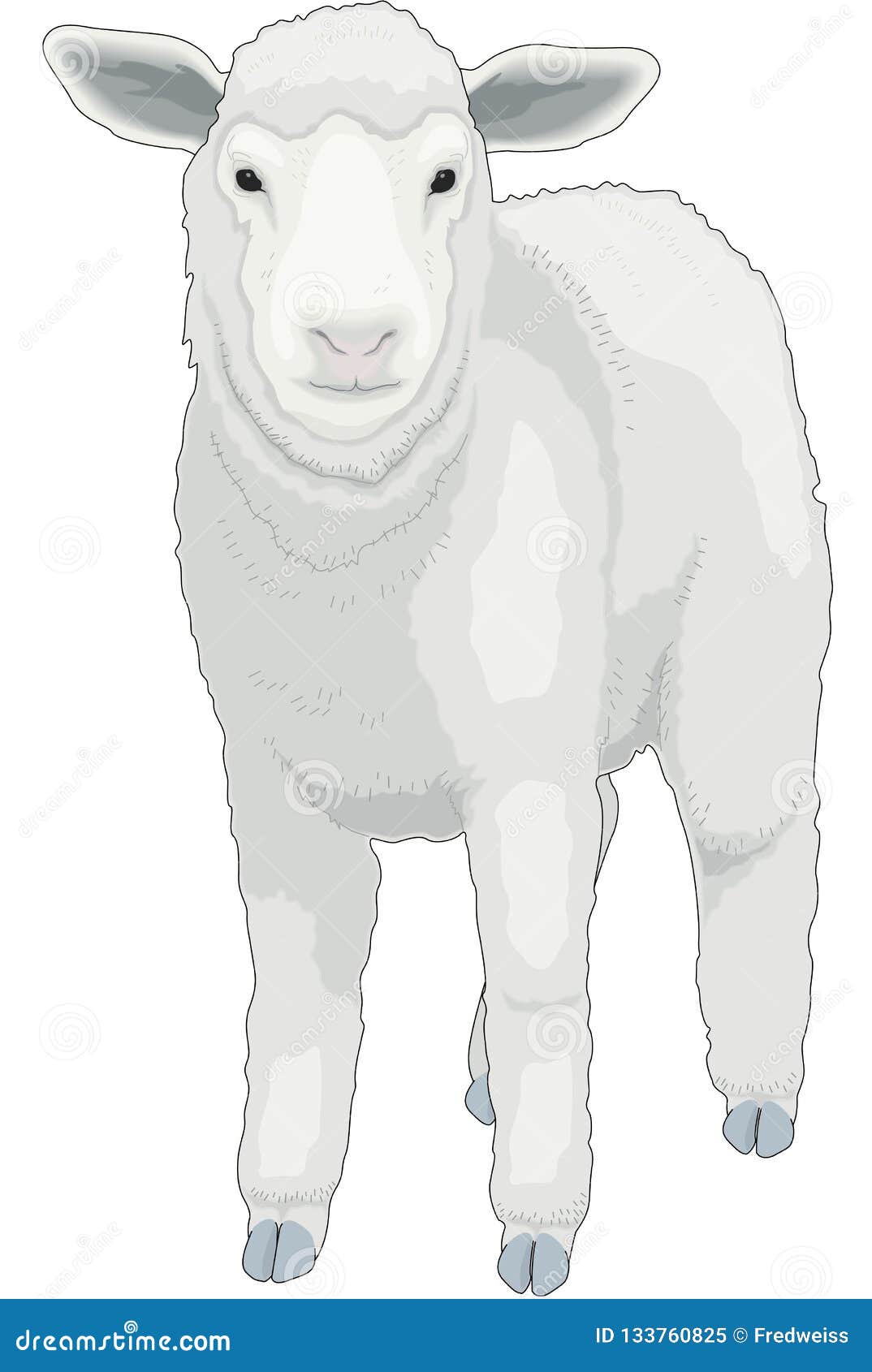 Lamb Standing Illustration stock vector. Illustration of fleece - 133760825