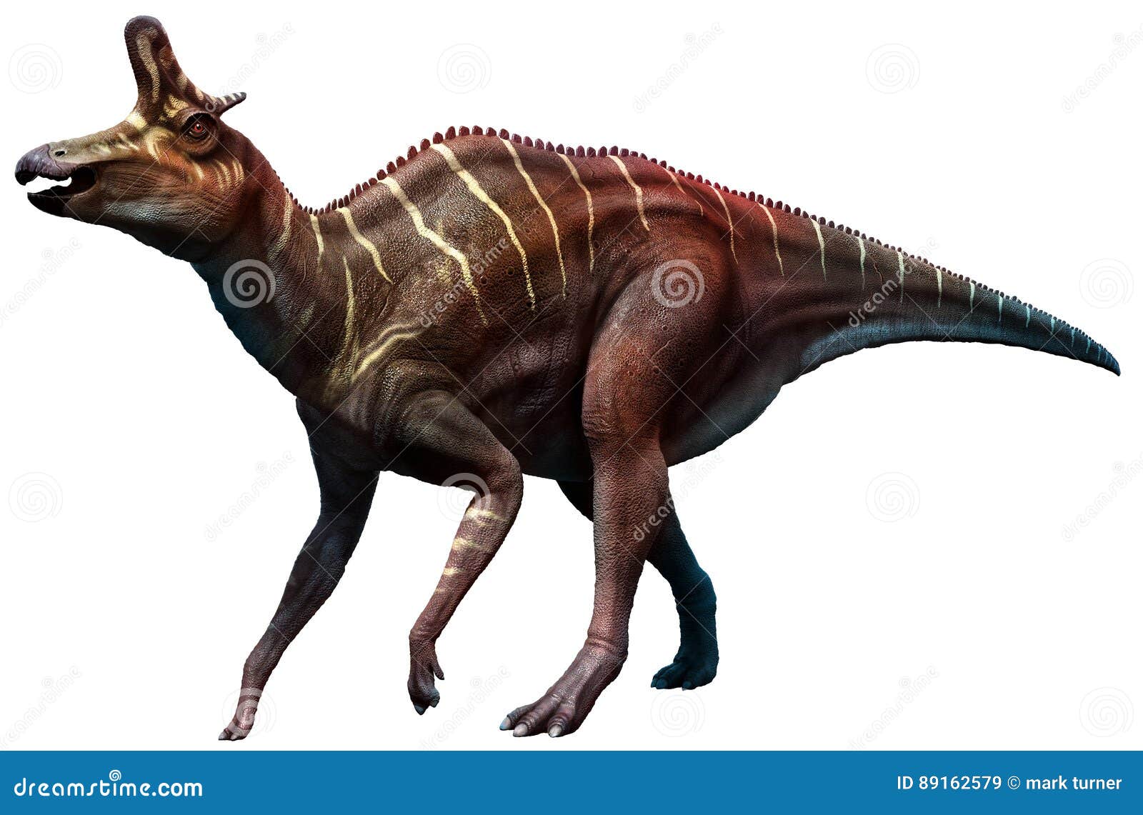 Lambeosaurus stock illustration. Illustration of duckbill - 89162579
