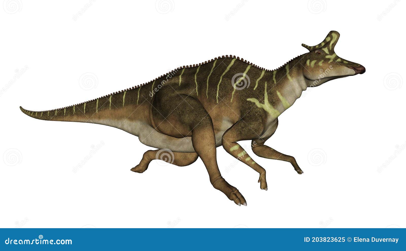 Lambeosaurus Dinosaur Cartoon Illustration | CartoonDealer.com #39459712