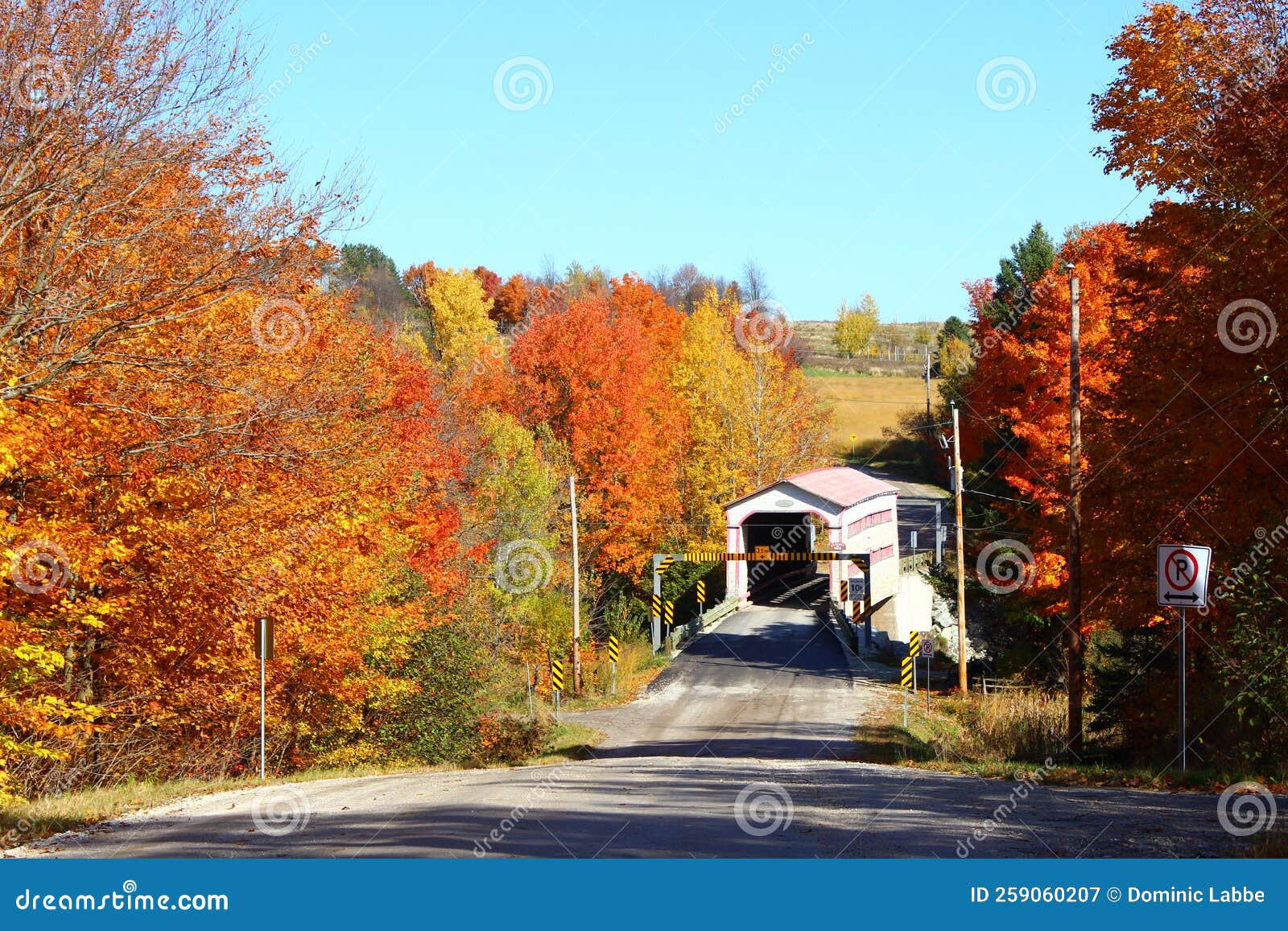 Lambert Covered Bridge in Fall Stock Image - Image of covered, nature ...
