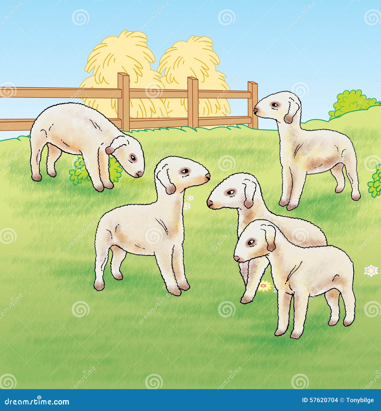 Lambs on the Farm stock illustration. Illustration of agricultural ...