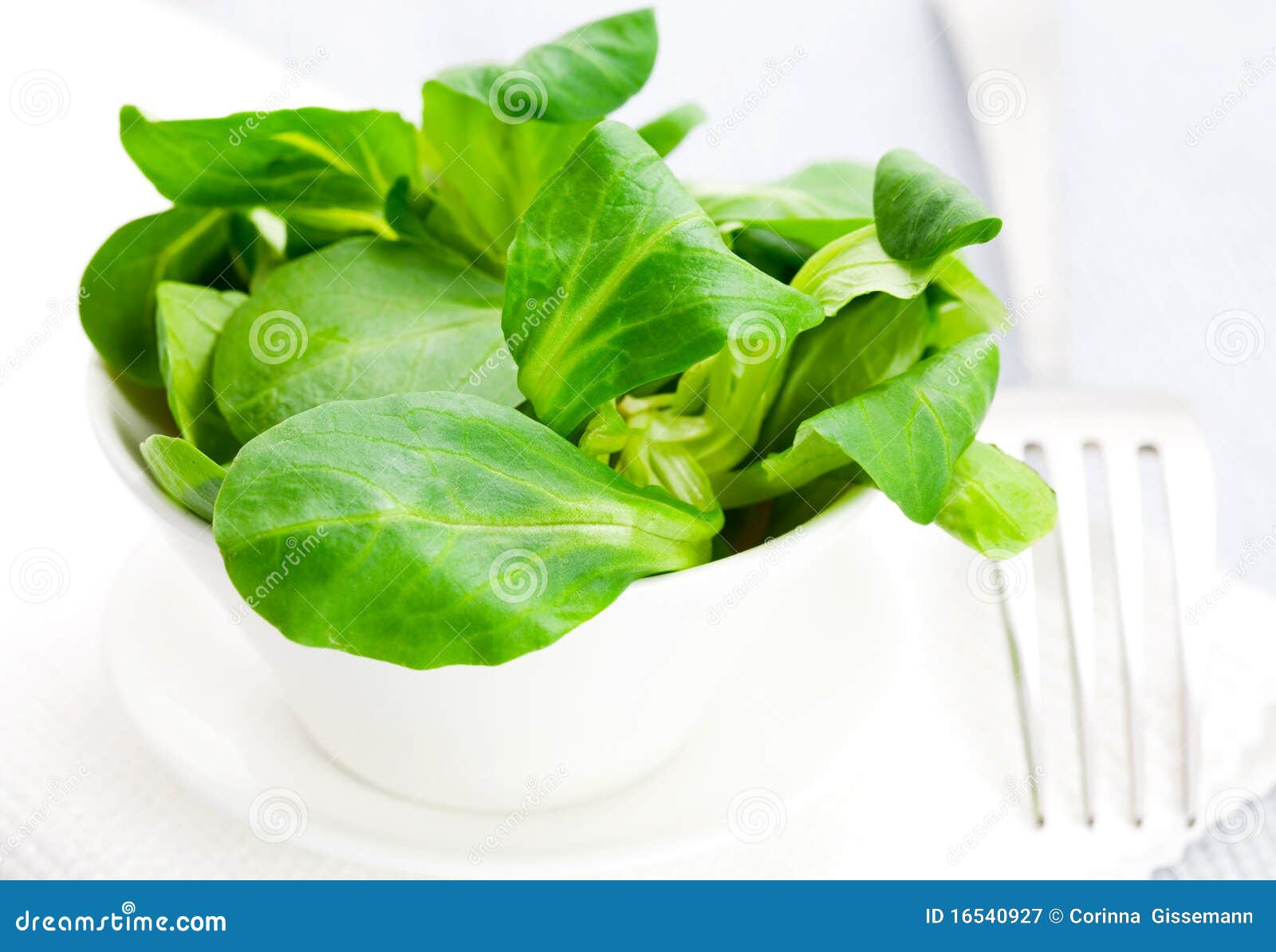 Lambs Lettuce Growth, Watered Green Leaves Royalty-Free Stock Photo ...