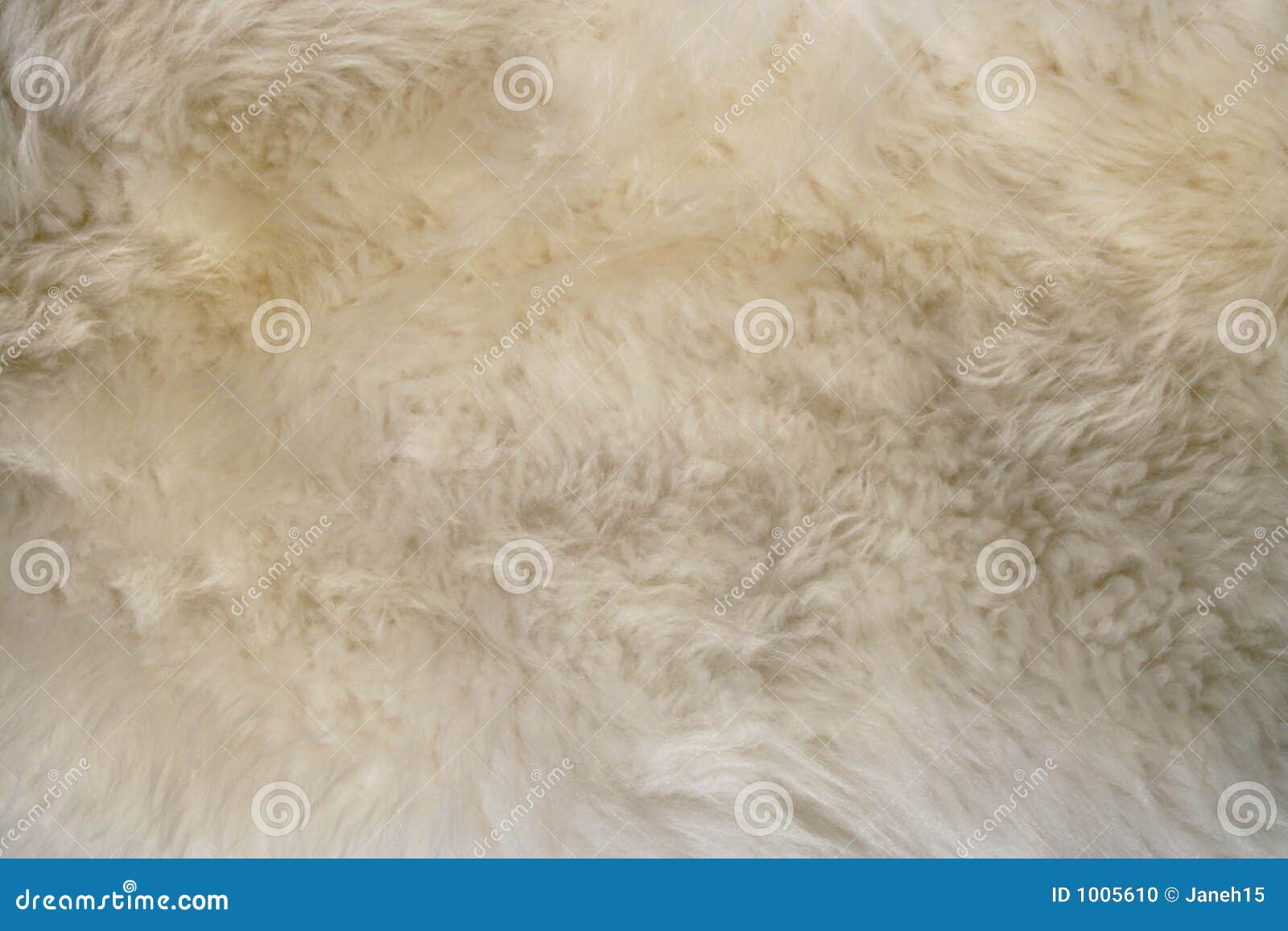 Lambs wool stock photo. Image of sheep, warmth, colourful - 1005610