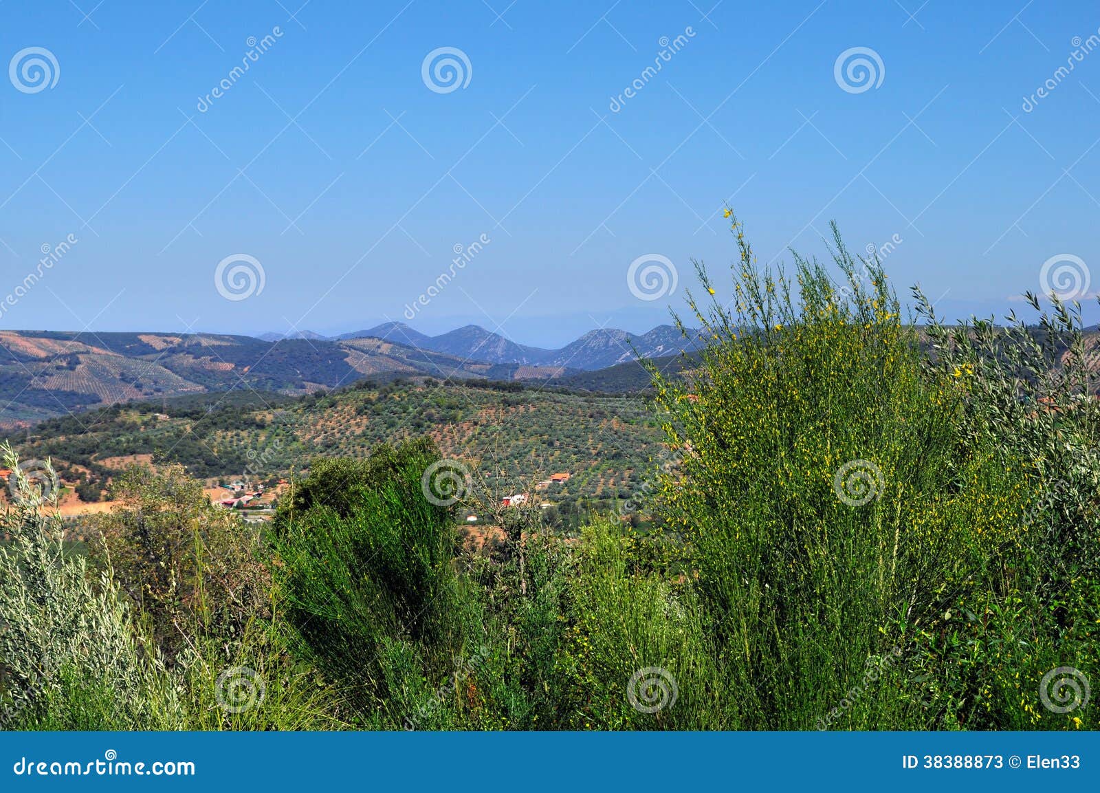 Lamdscape stock image. Image of house, green, tree, field - 38388873