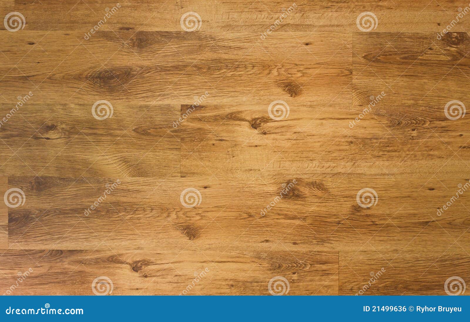 Laminate texture stock photo. Image of parquet, empty - 21499636
