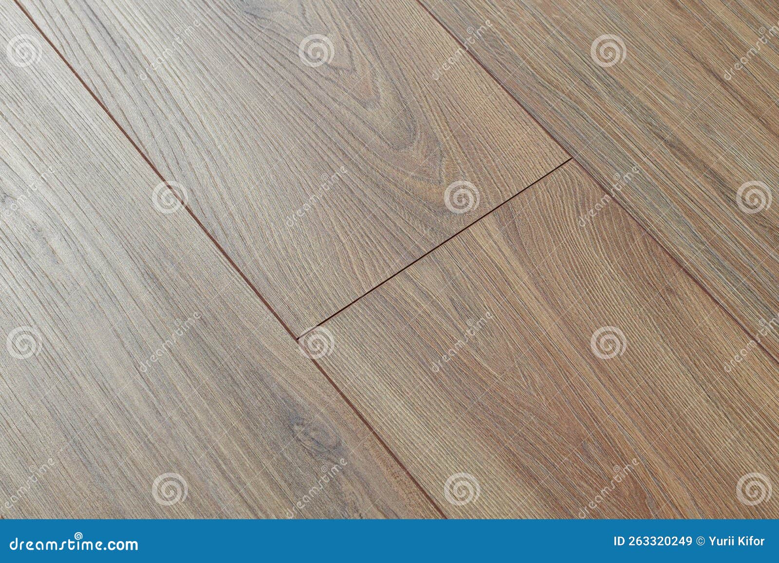 Laminate Texture, Laminate Sample Palette. Top View of Veneer Samples ...