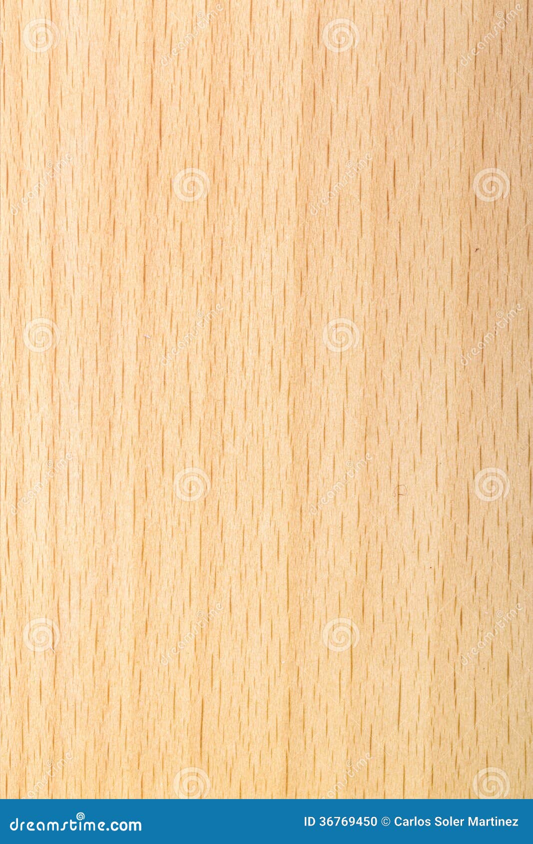 Laminated Maple Wood Varnished Stock Photo - Image of abstract, parquet ...