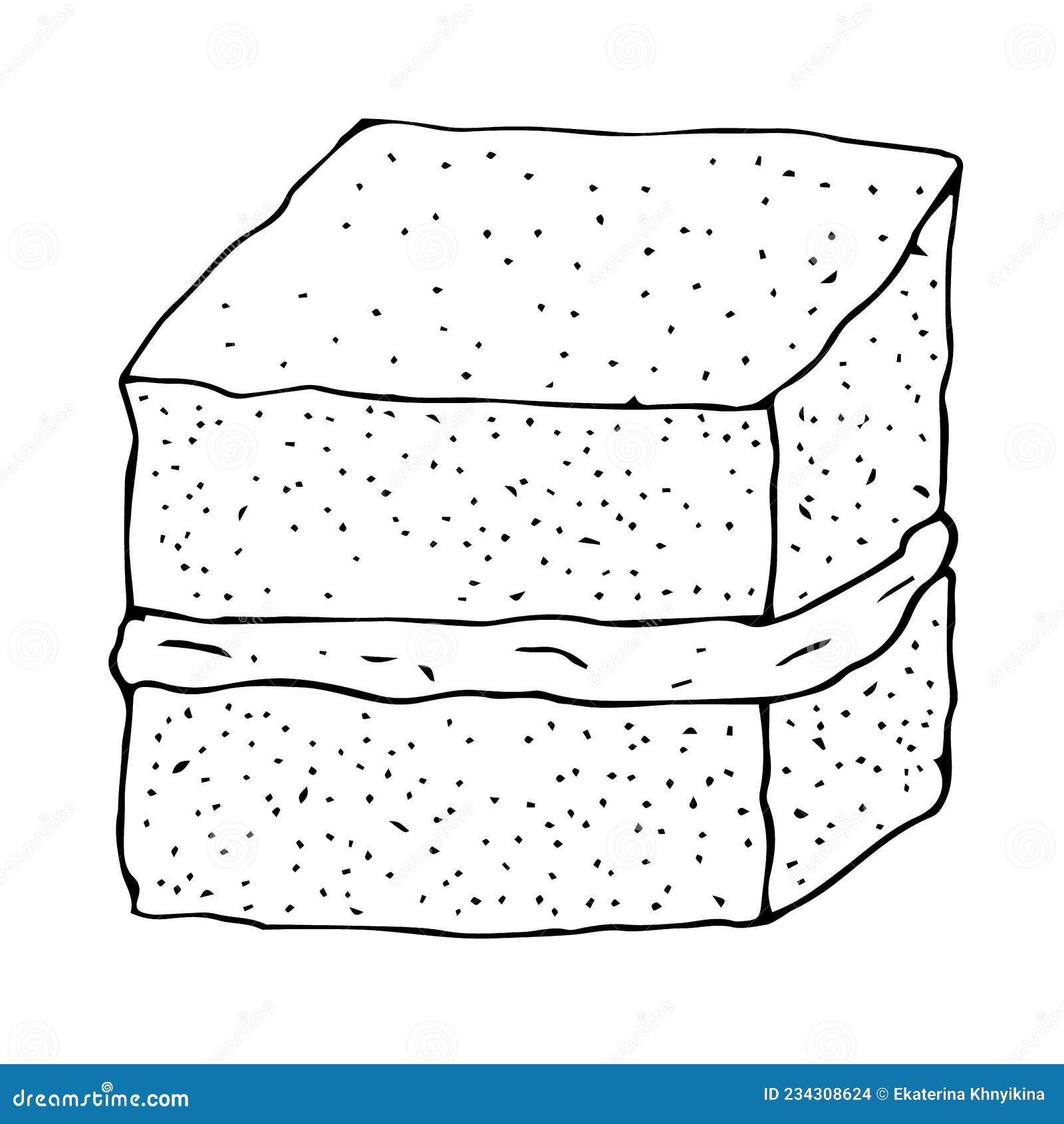 Lamington Cake Vector Illustration, Hand Drawing Sketch | CartoonDealer ...