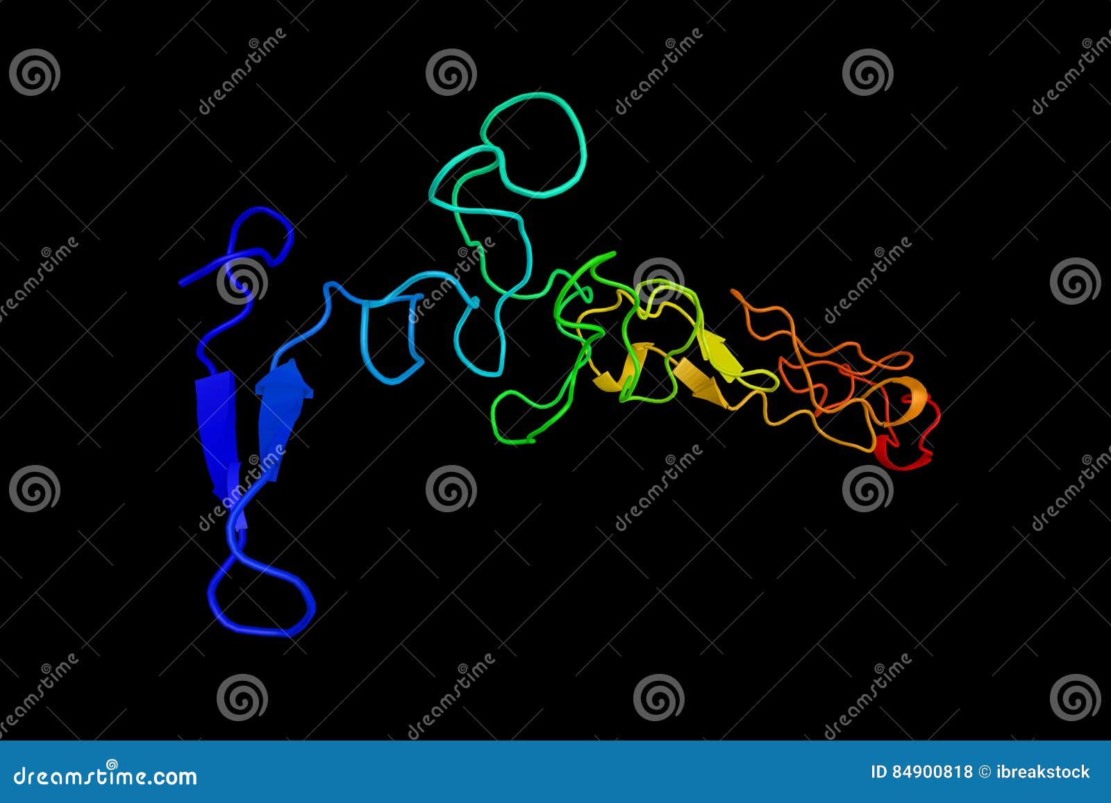 Laminin Subunit Gamma-1, a Protein that in Humans is Encoded by Stock ...