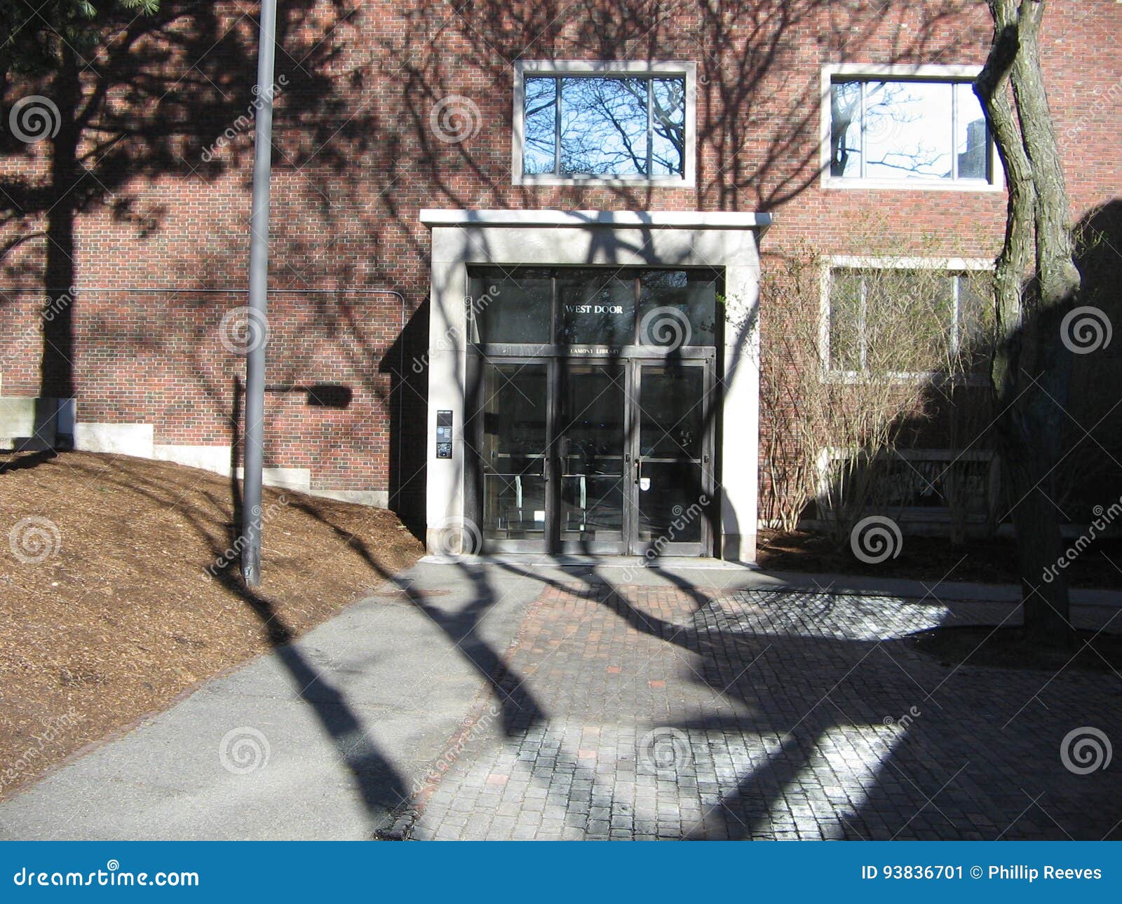 Lamont Library, Yarda De Harvard, Universidad De Harvard, Cambridge ...