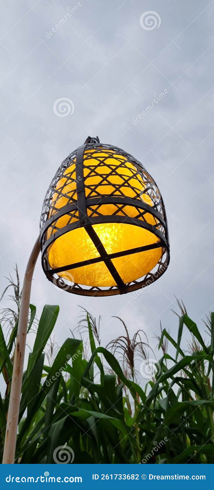 Lamp, aestetic, go green stock photo. Image of aestetic - 261733682