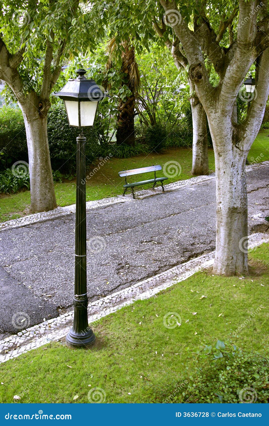 Lamp and Bench stock photo. Image of footpath, quiet, furniture - 3636728