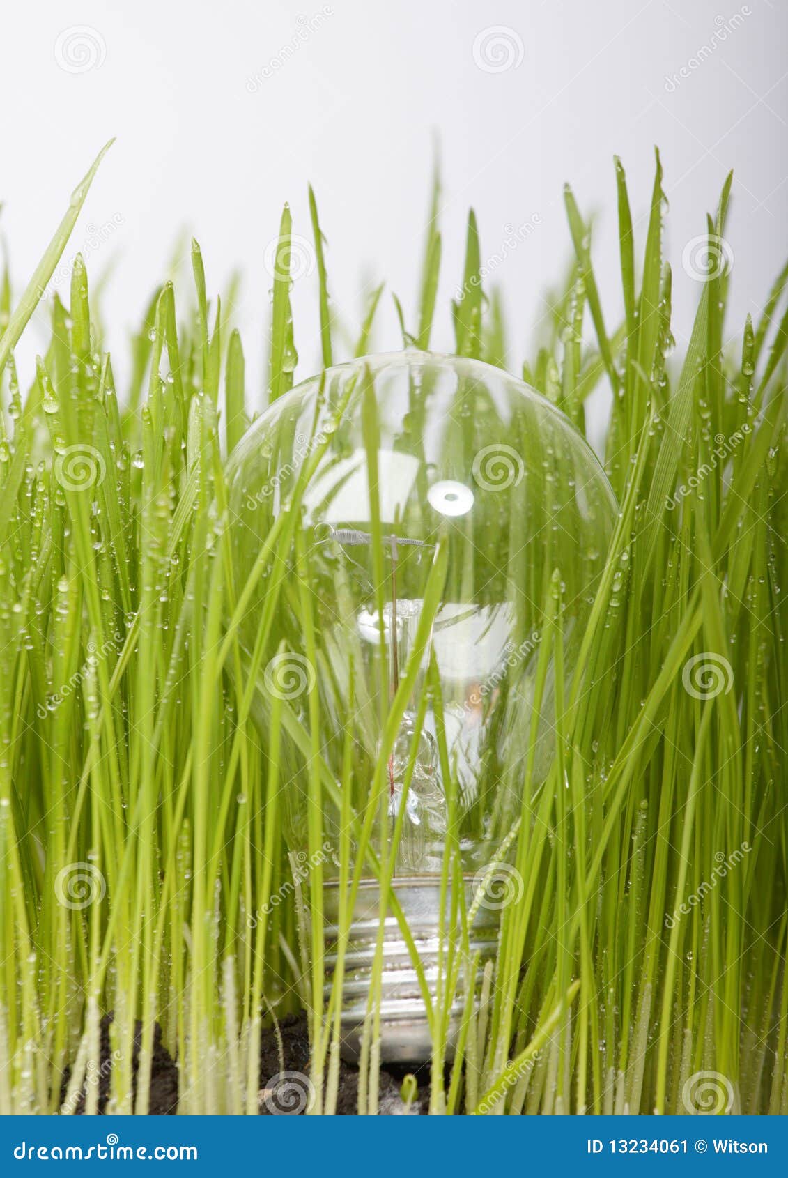 Lamp in grass. stock image. Image of clean, organic, recycling - 13234061