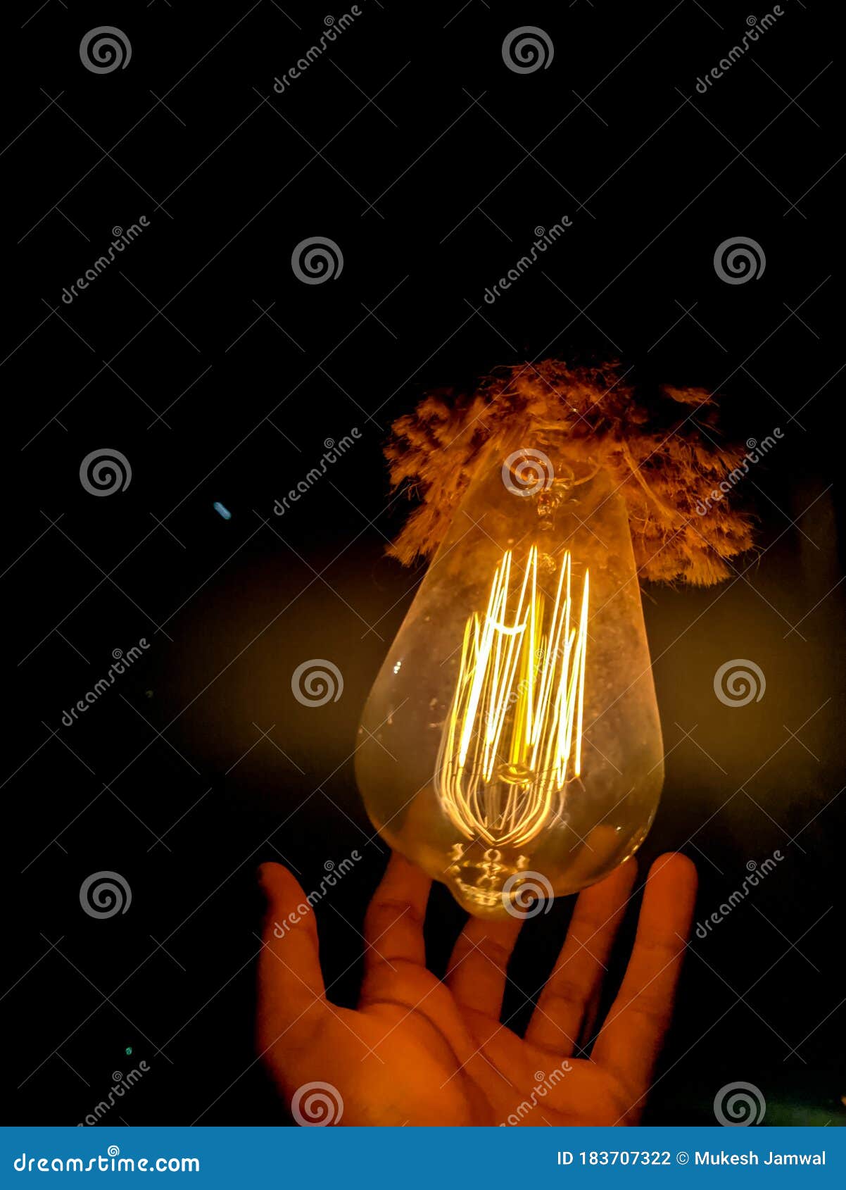 A lamp held in hand stock photo. Image of light, streetlight - 183707322
