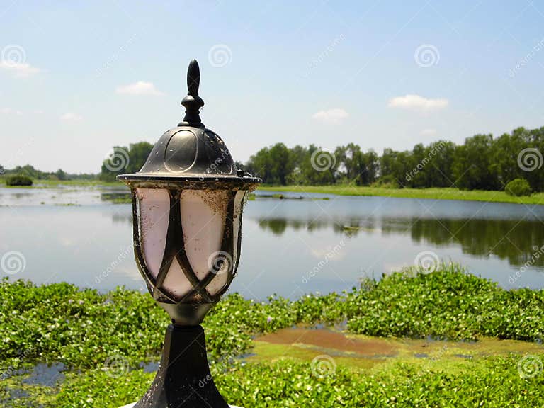 Lamp at the lake stock image. Image of lagoon, lamp, swamp - 51090883