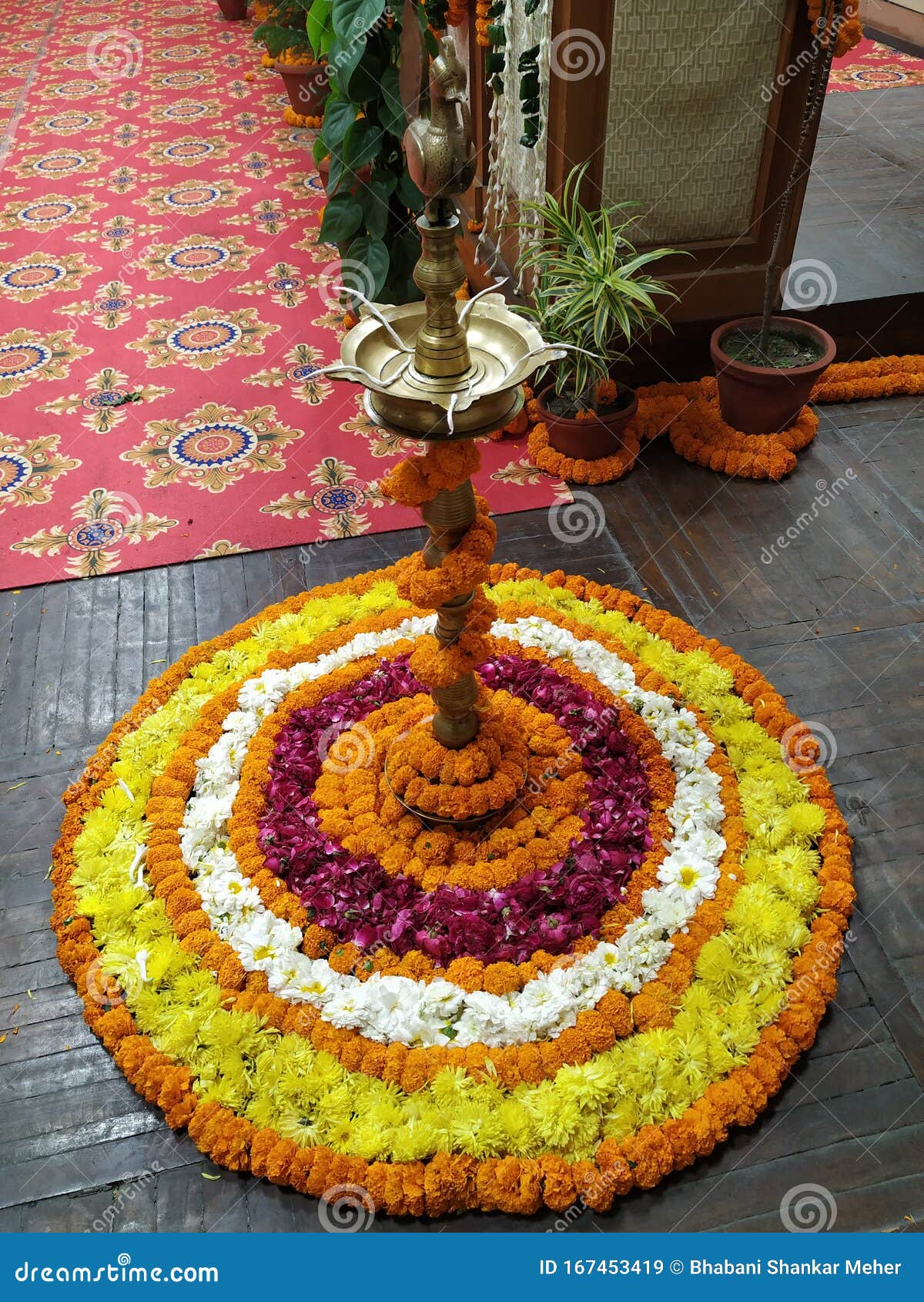 Lamp Lighting. Event Flower Vibrant Colors Lamp Stock Image - Image of ...