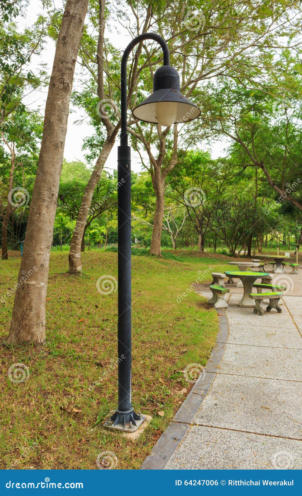 Lamp in the Park stock photo. Image of electric, greenery - 64247006