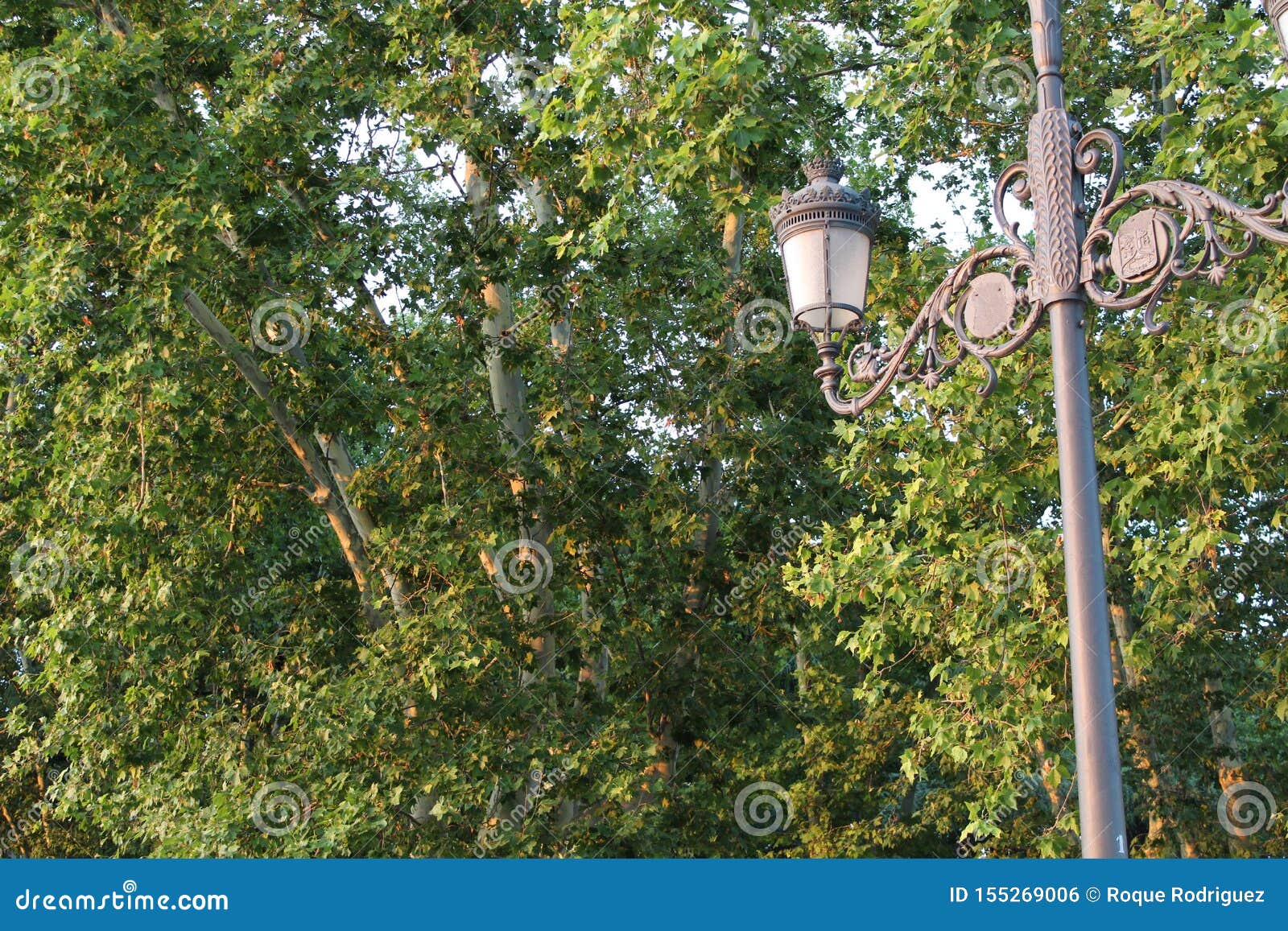 Lamp in a park with trees stock photo. Image of buildings - 155269006