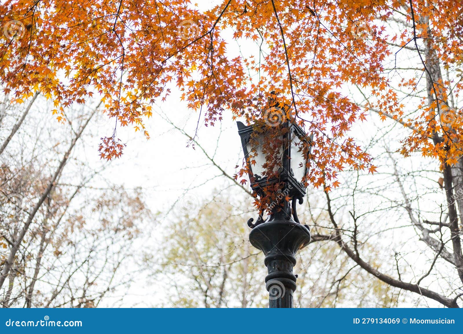 Lamp Post with Autumn Leaves Stock Image - Image of lantern, glass ...