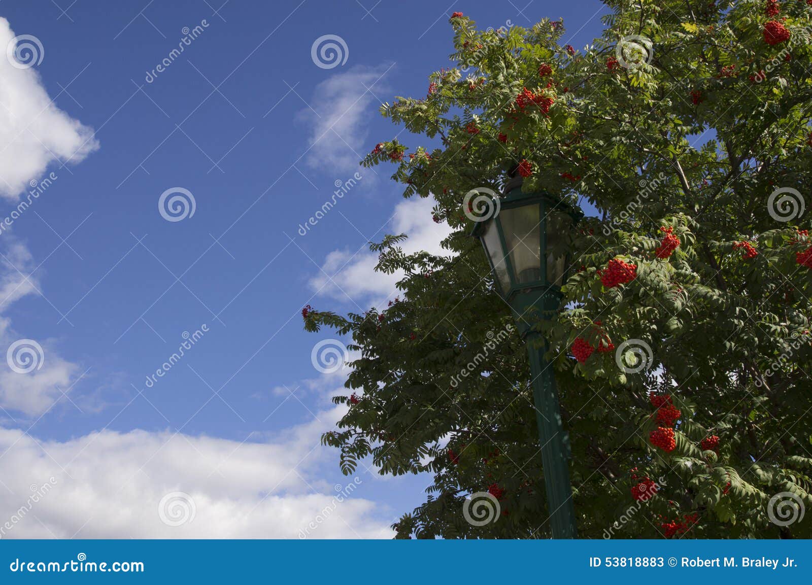 Lamp Post Fall Tree Blue Cloudy Sky Stock Photos - Free & Royalty-Free ...
