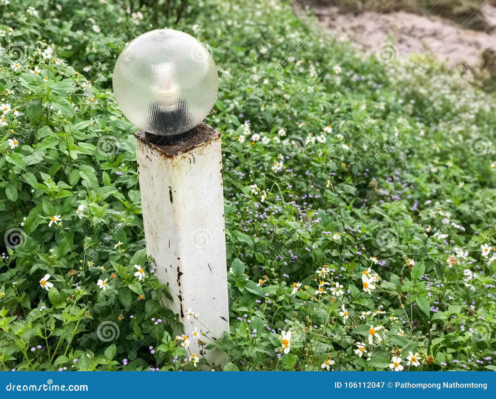 Lamp post and green grass stock image. Image of pathway - 106112047