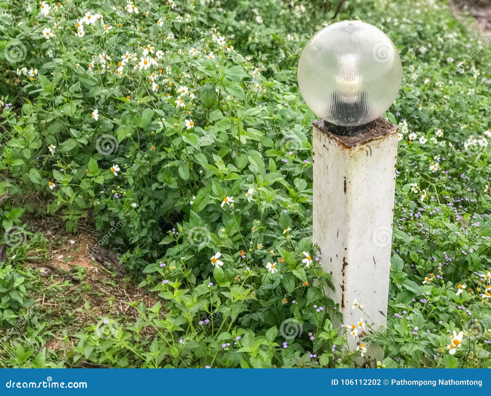 Lamp post and green grass stock photo. Image of hang - 106112202
