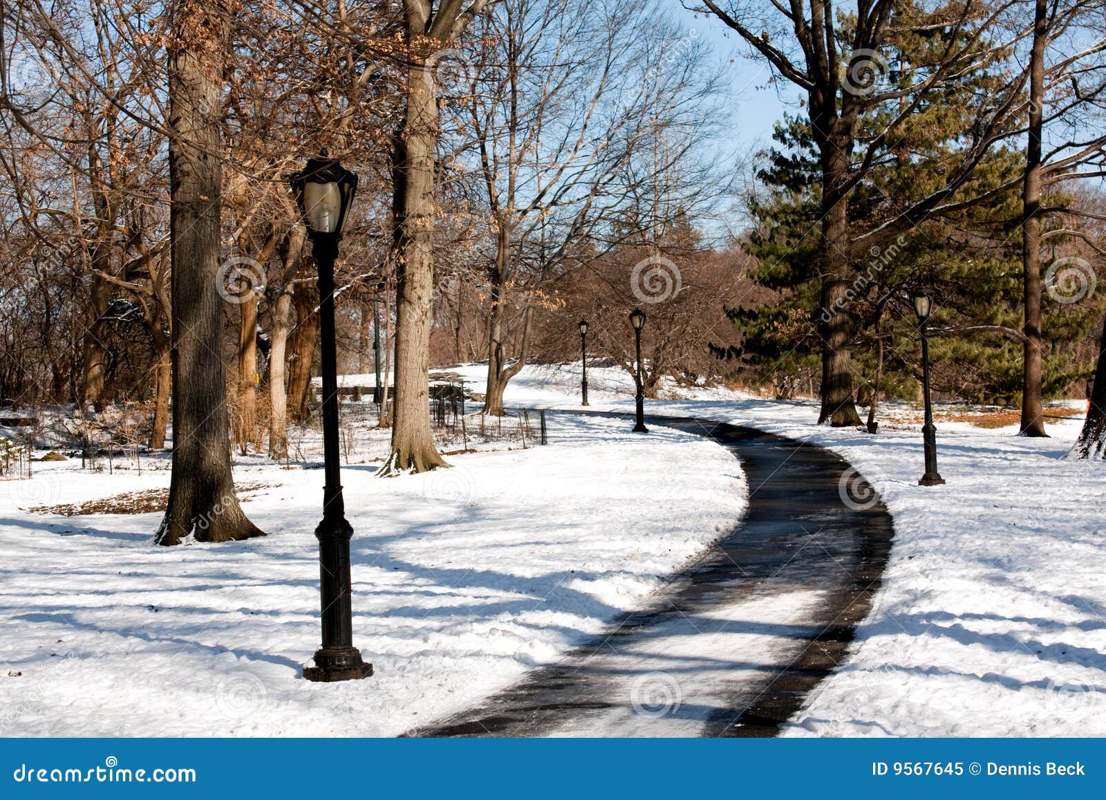 Lamp Post Lined Walking Path Stock Image - Image of posts, curved: 9567645