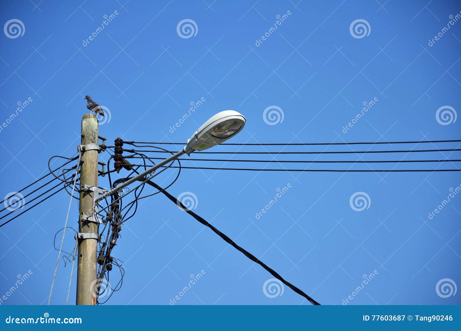 Lamp post with many cables stock image. Image of network - 77603687