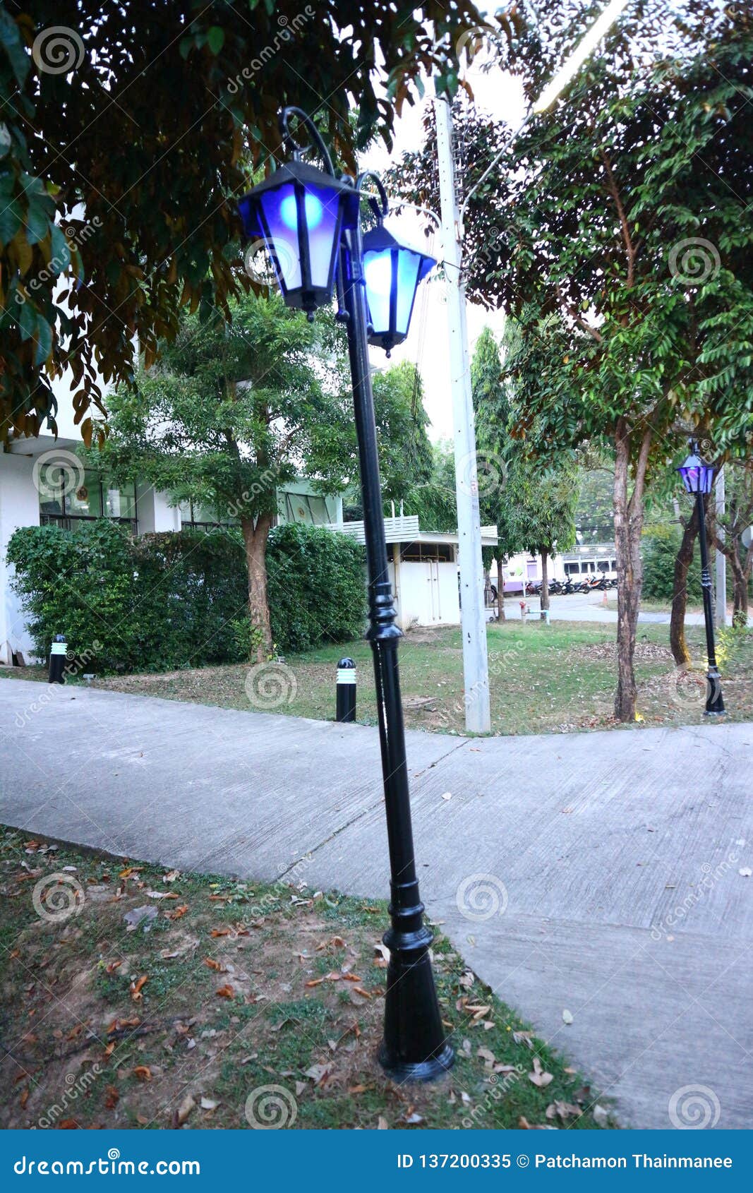Lamp Post on the Outdoor Garden Walkway Stock Image - Image of outdoor ...