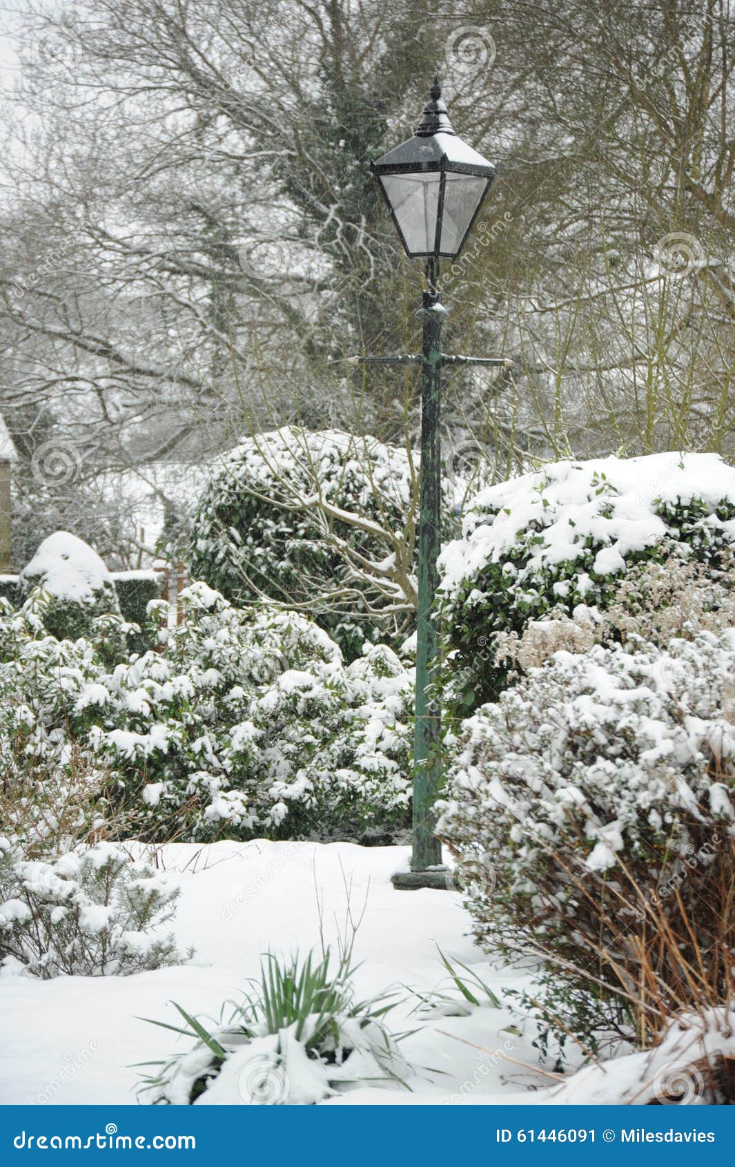 Lamp post in the Snow stock image. Image of winter, christmas - 61446091