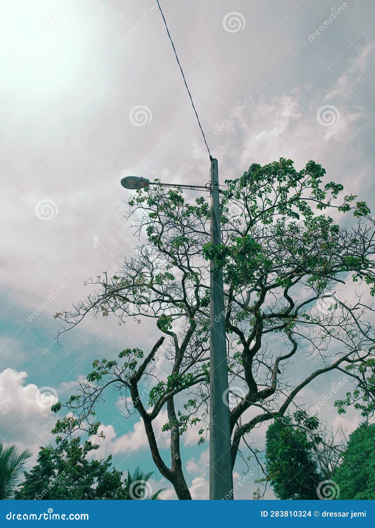 Lamp Post beside the Tree on Sunny Day in Malaysia Stock Photo - Image ...
